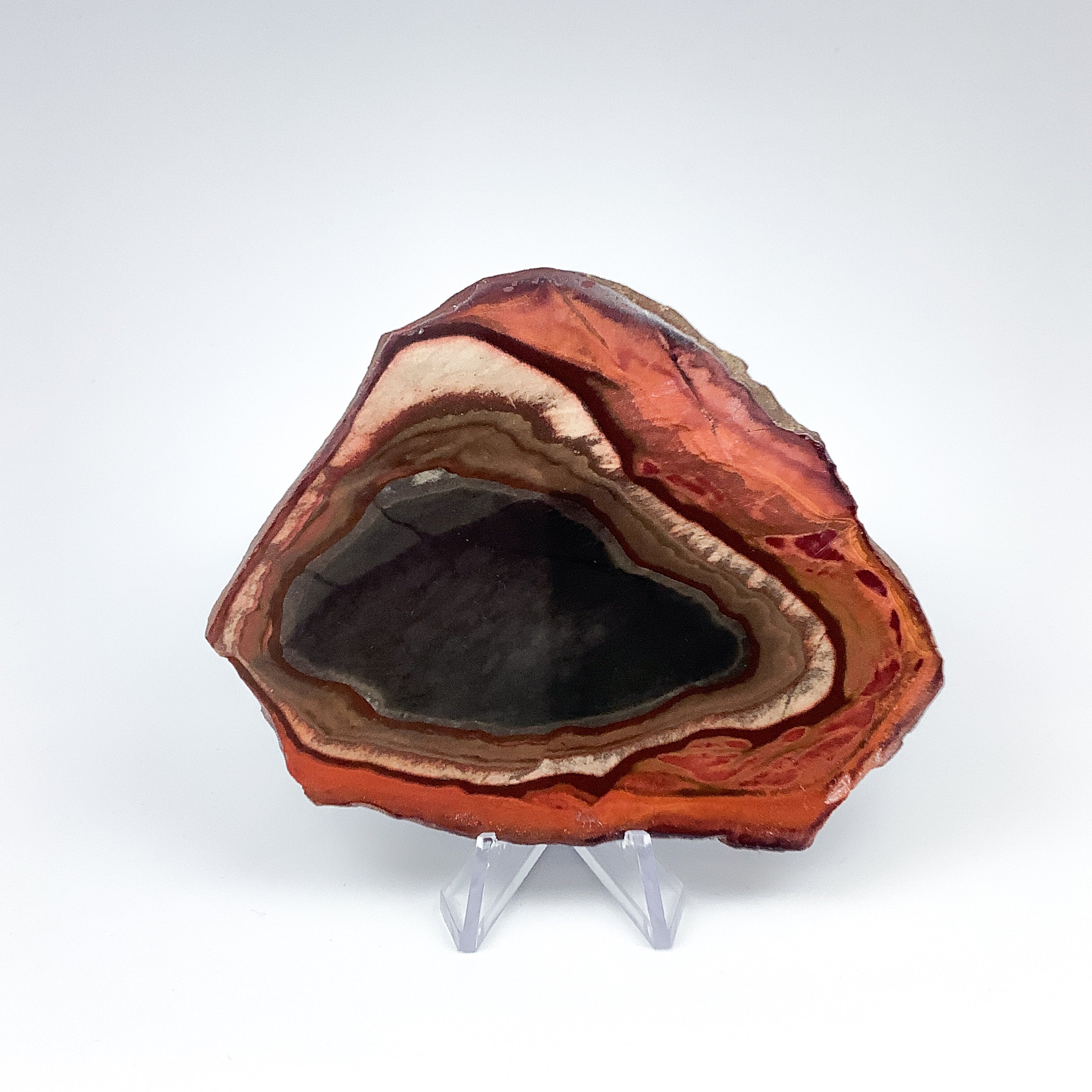 Polychrome Jasper Slice – Rocks and Gems Canada