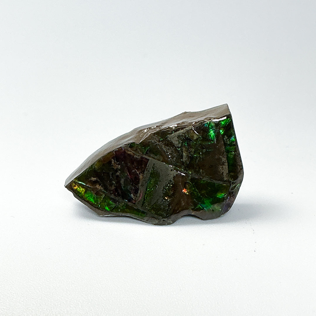 Ammolite Gem with Display Box – Rocks and Gems Canada