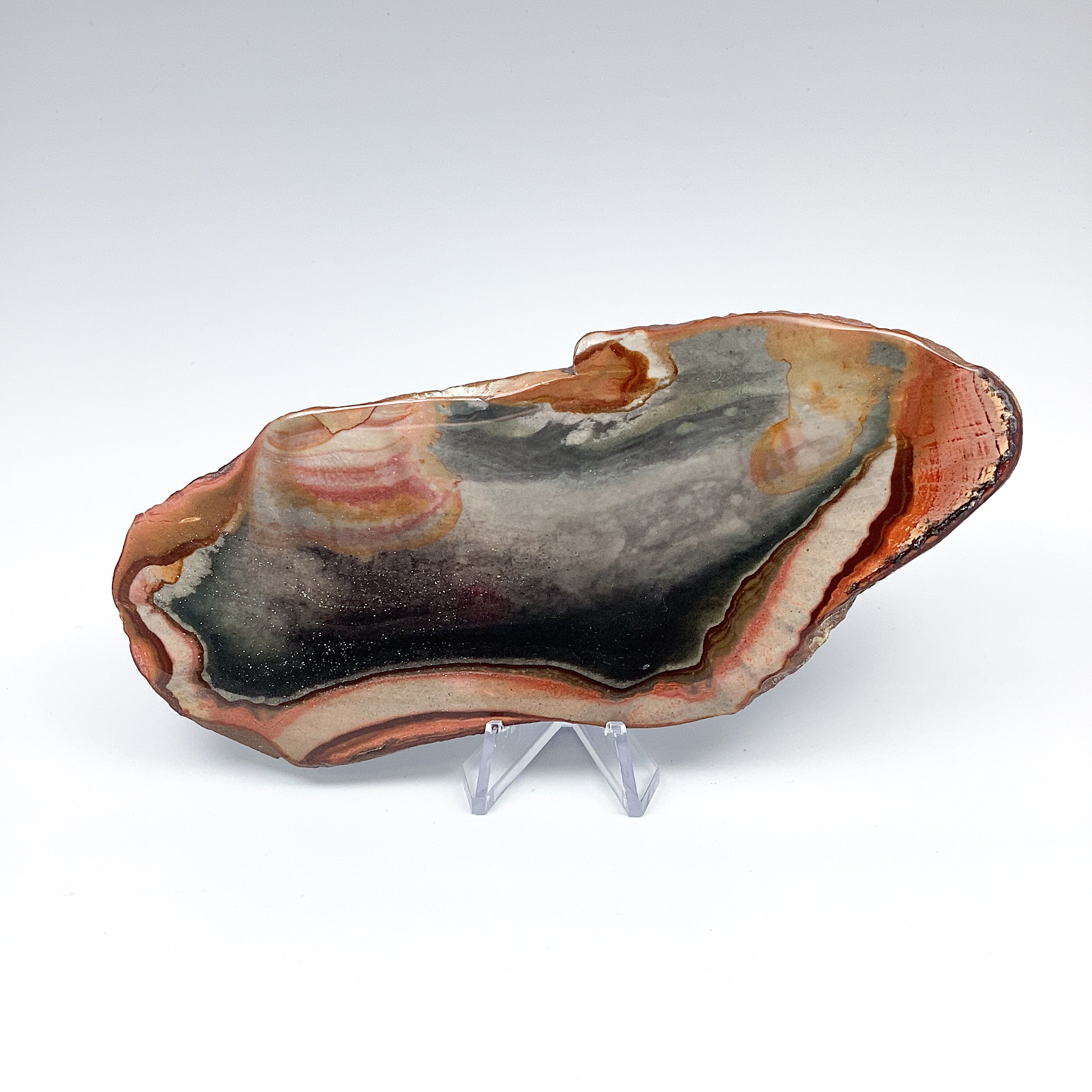 Polychrome Jasper Slice – Rocks and Gems Canada