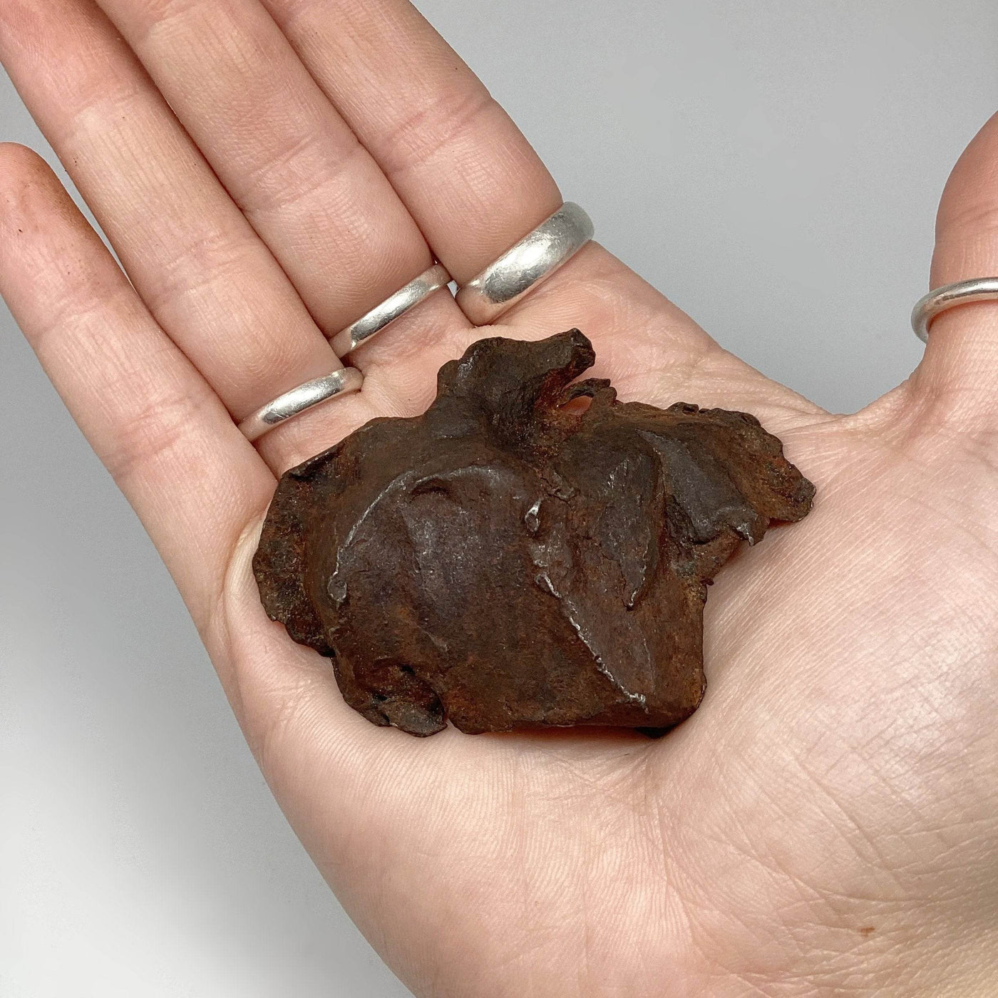 Gebel Kamil Meteorite – Rocks and Gems Canada