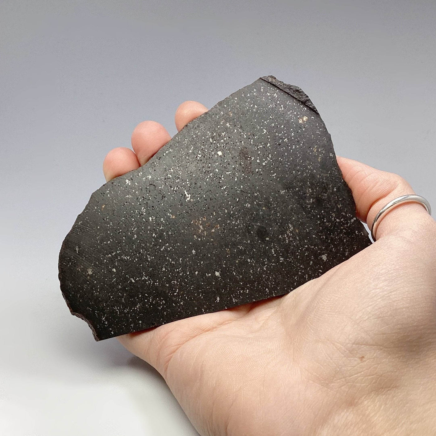 NWA Chondrite Meteorite Slab – Rocks and Gems Canada