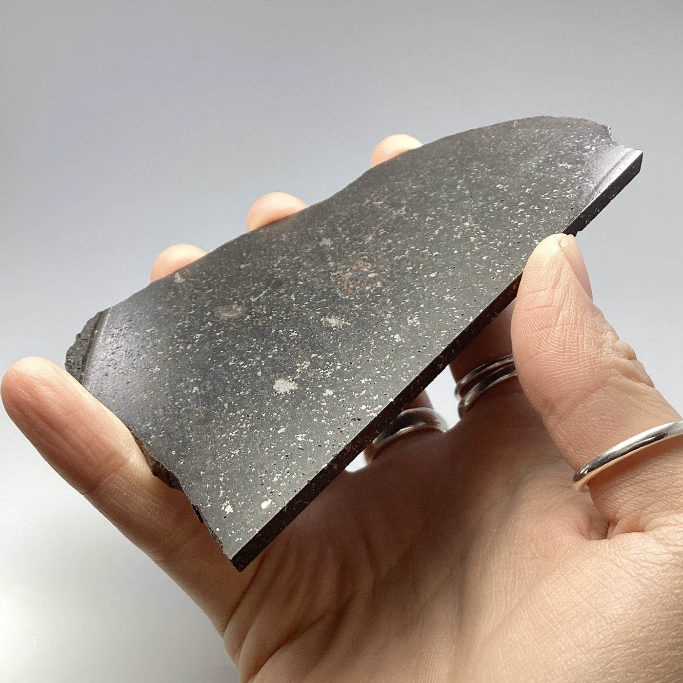 NWA Chondrite Meteorite Slab – Rocks and Gems Canada