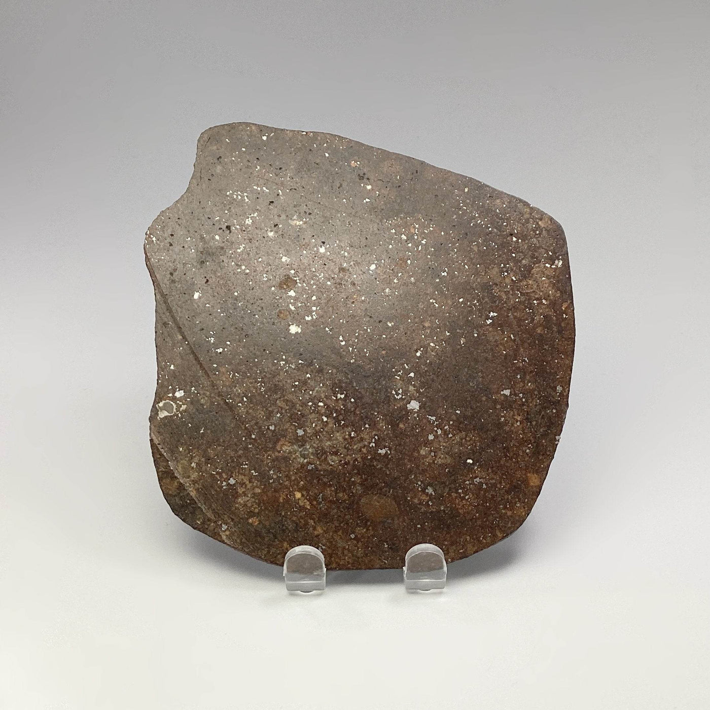 NWA Chondrite Meteorite Slab – Rocks and Gems Canada
