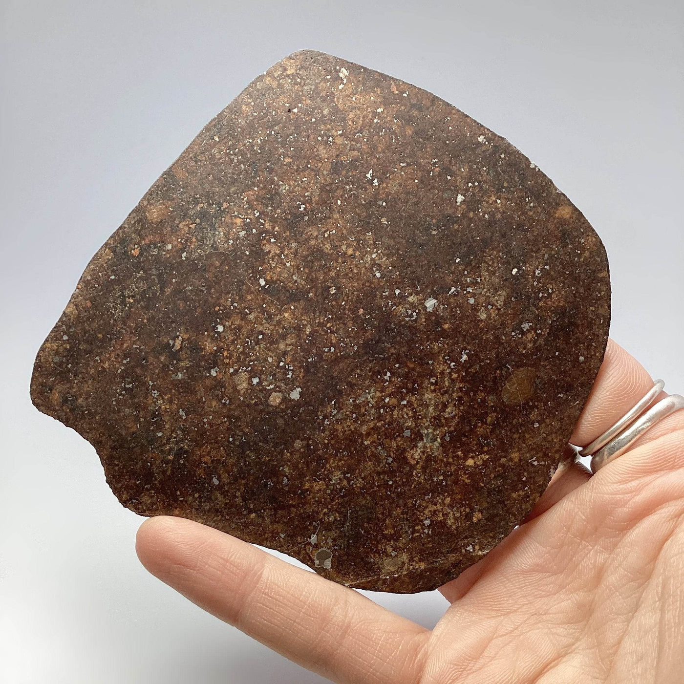 NWA Chondrite Meteorite Slab – Rocks and Gems Canada