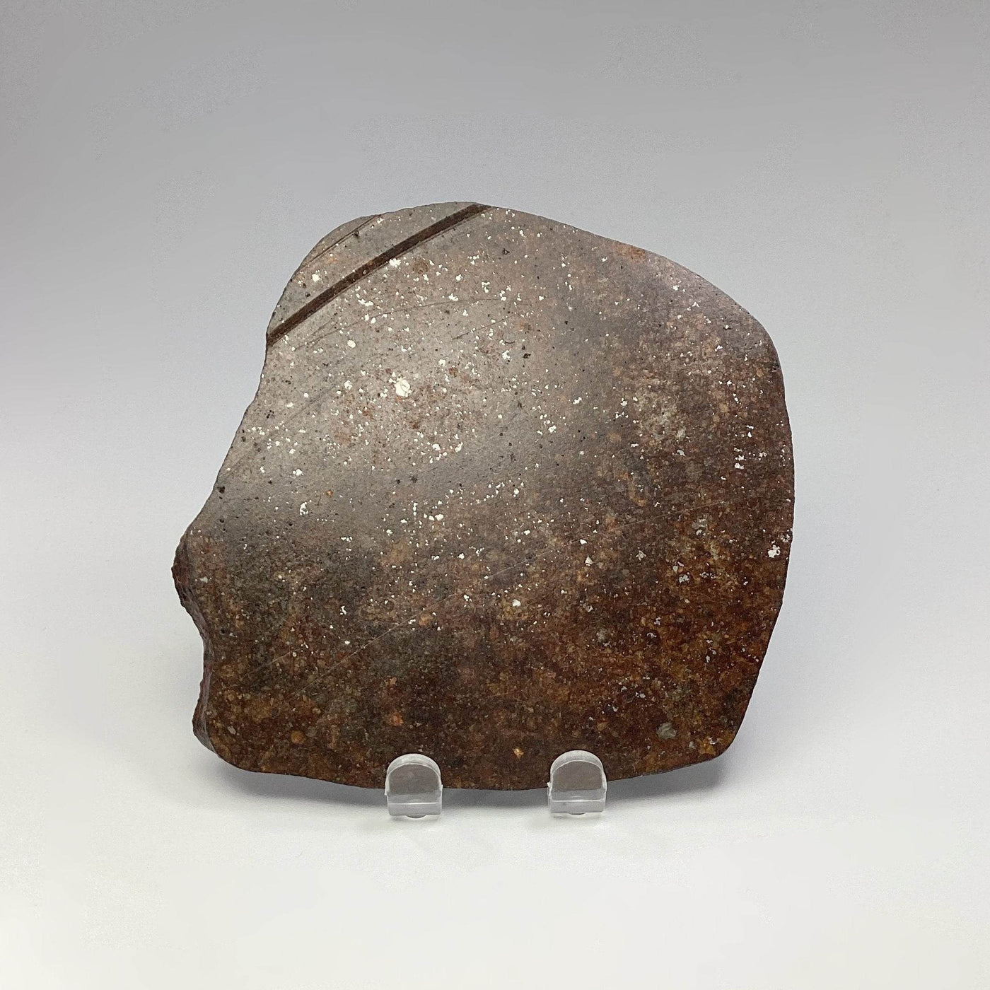 NWA Chondrite Meteorite Slab – Rocks and Gems Canada