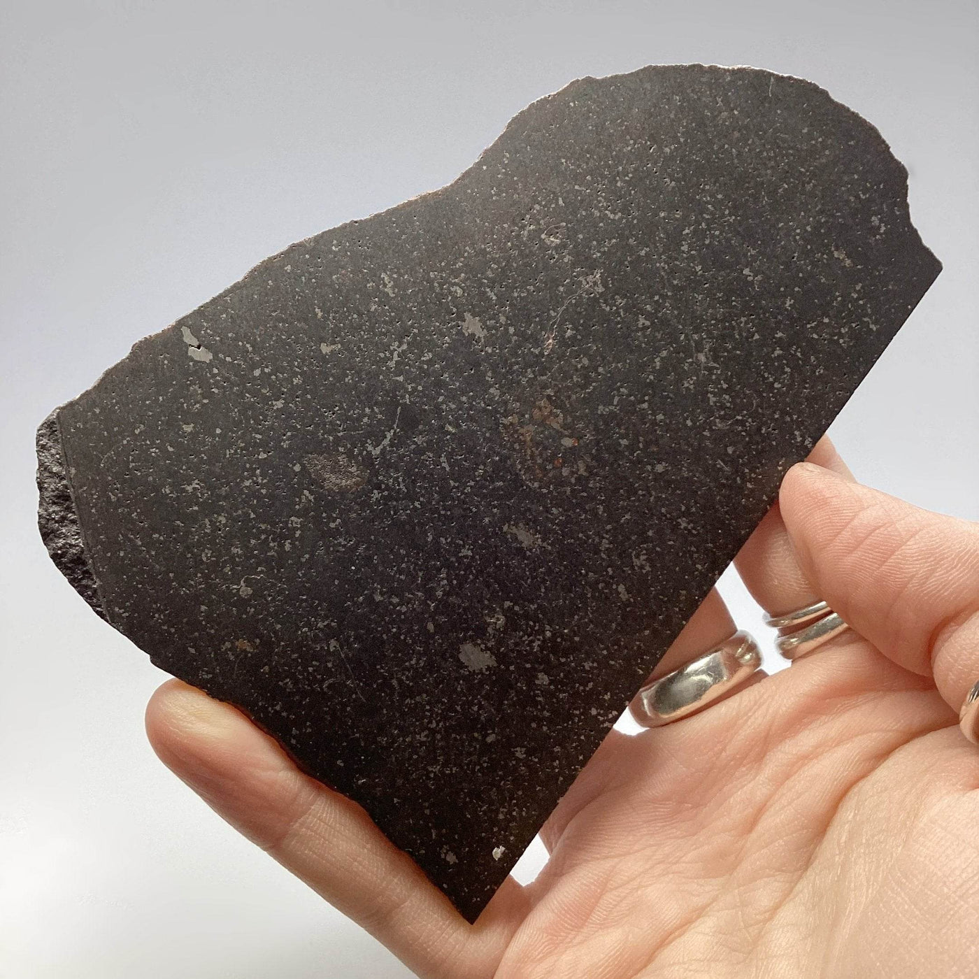 NWA Chondrite Meteorite Slab – Rocks and Gems Canada